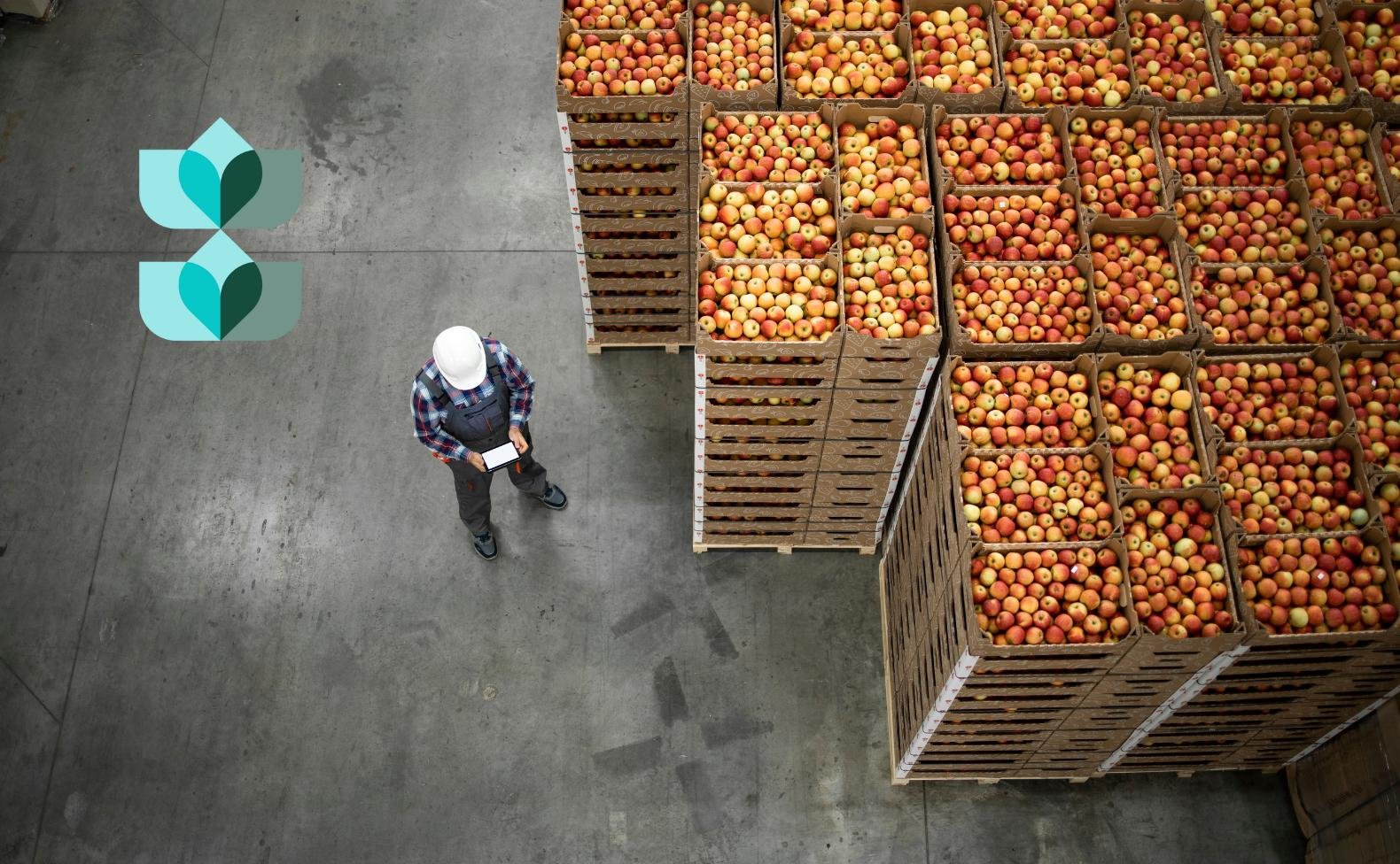 Inventory Planning: A Comprehensive Guide to Optimizing Stock Levels ...