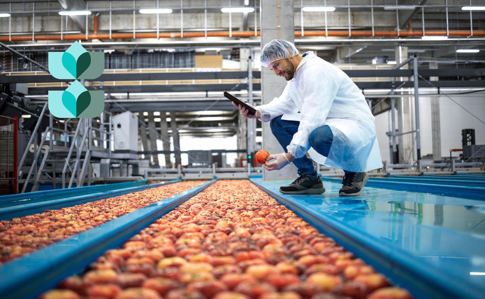 Why Your Food Distribution Company Needs a Next-Gen ERP System