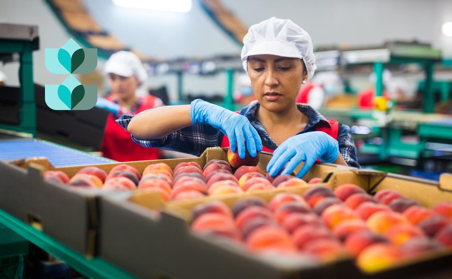 Why Your Food Distribution Company Needs a Next-Gen ERP System