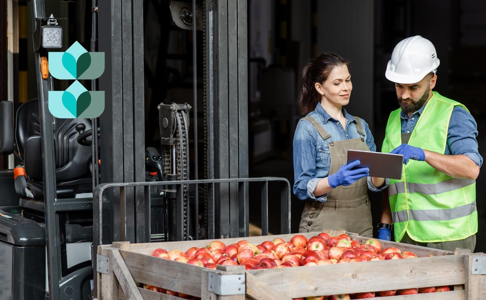 Inventory Planning: A Comprehensive Guide to Optimizing Stock Levels ...