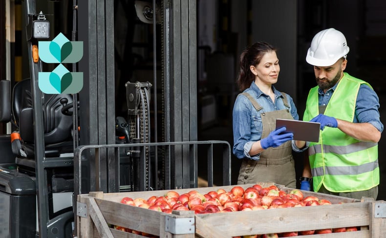 Inventory Planning: A Comprehensive Guide to Optimizing Stock Levels ...