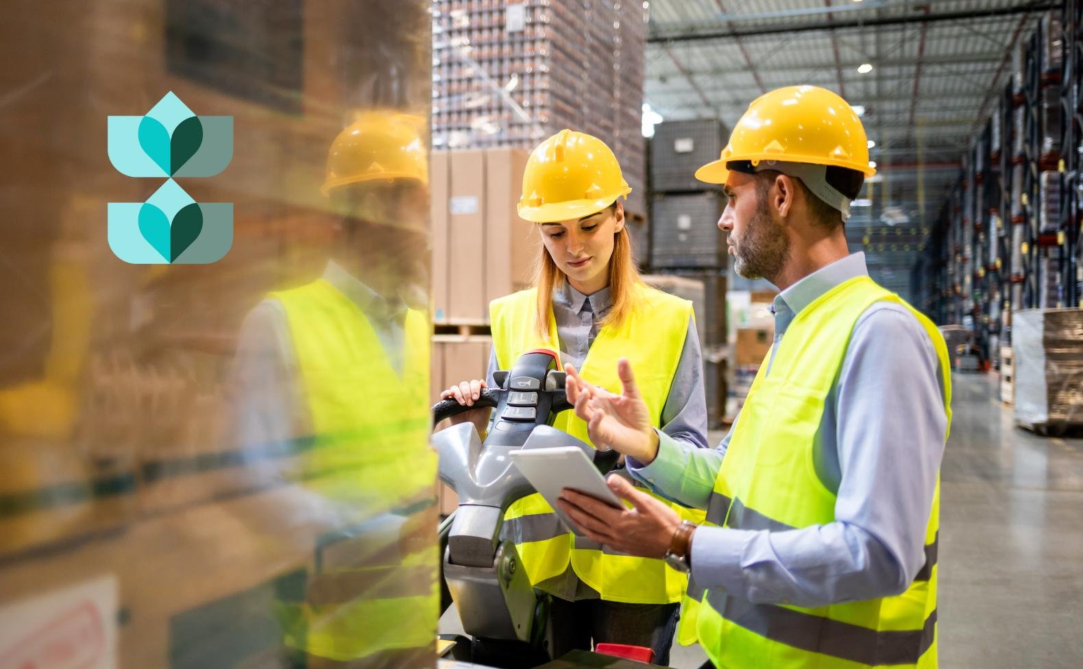 Net Weight vs Gross Weight: Understanding the Differences and Calculations