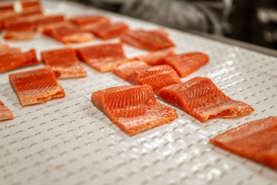 Food Processing Floor Software, from inecta