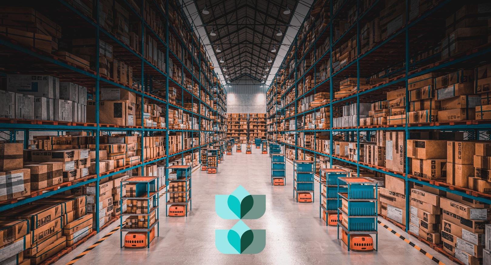 What is a Warehouse Control System?