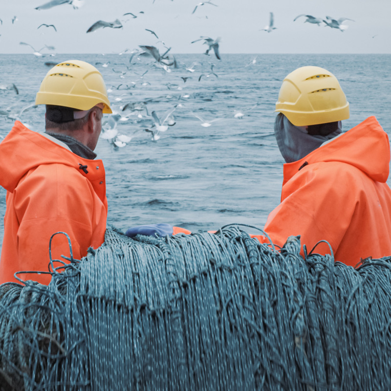 Fishery & Vessel Management Software - iNECTA