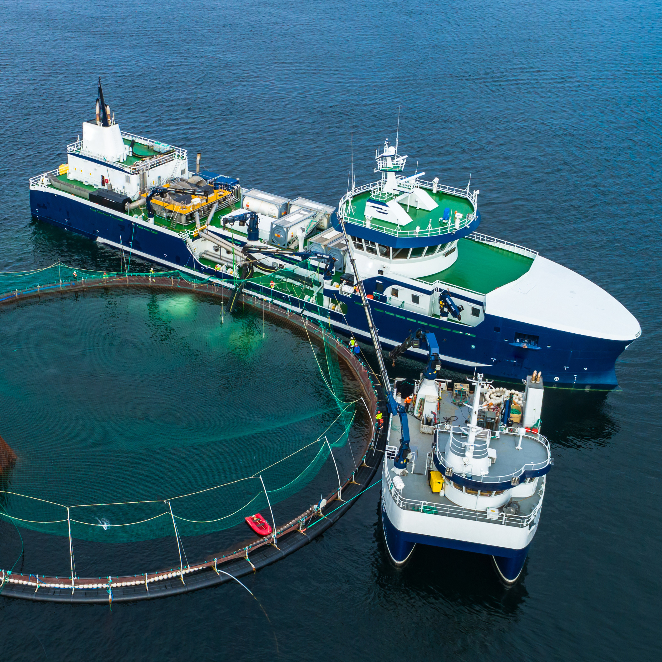 Fishery & Vessel Management Software - iNECTA